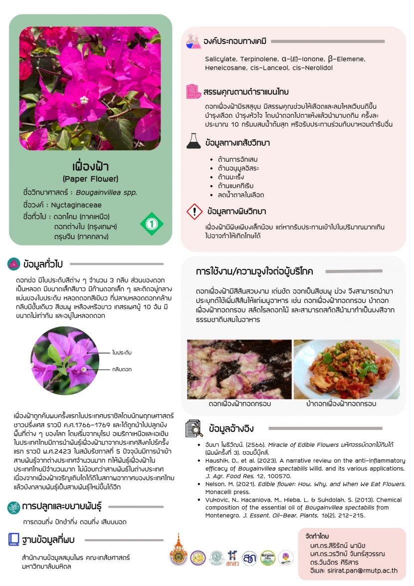Thailand Edible Flower : ดอกไม้กินได้ในประเทศไทย
